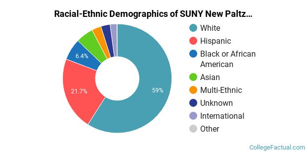 SUNY New Paltz Diversity: Racial Demographics & Other Stats