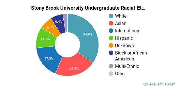 Stony Brook University Diversity: Racial Demographics & Other Stats
