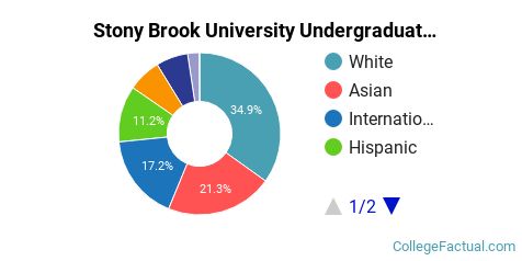 Stony Brook University Diversity: Racial Demographics & Other Stats