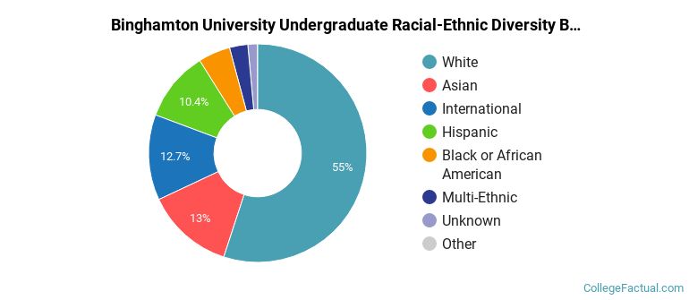 Binghamton University Diversity: Racial Demographics & Other Stats