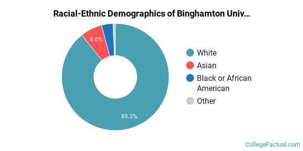 Binghamton University Diversity: Racial Demographics & Other Stats