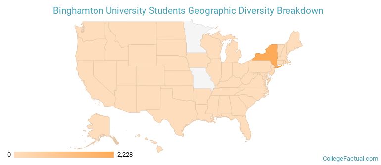Binghamton University Diversity: Racial Demographics & Other Stats