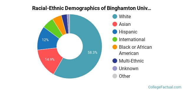 Binghamton University Diversity: Racial Demographics & Other Stats