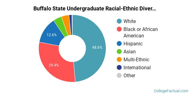Buffalo State Diversity: Racial Demographics & Other Stats