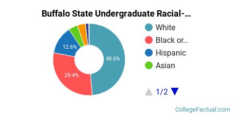 Buffalo State Diversity: Racial Demographics & Other Stats