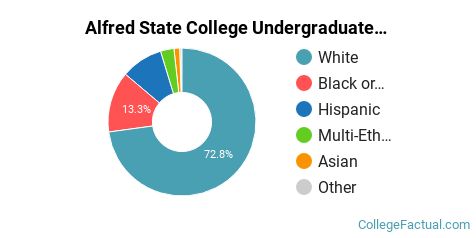 Alfred State College Diversity: Racial Demographics & Other Stats
