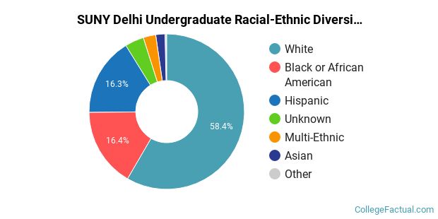 SUNY Delhi Diversity: Racial Demographics & Other Stats