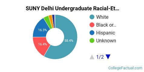 SUNY Delhi Diversity: Racial Demographics & Other Stats