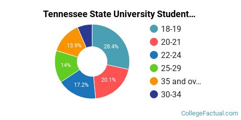 Tennessee State University Diversity: Racial Demographics & Other Stats