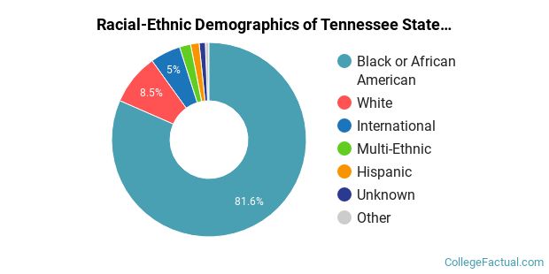 Tennessee State University Diversity: Racial Demographics & Other Stats