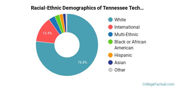 Tennessee Technological University Diversity: Racial Demographics ...