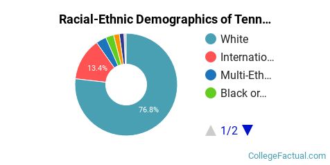 Tennessee Technological University Diversity: Racial Demographics ...