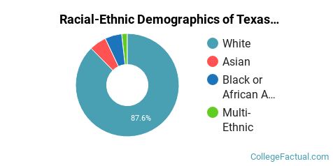 Texas State University Diversity: Racial Demographics & Other Stats