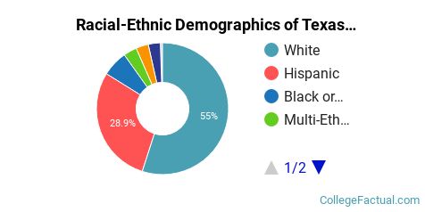 Texas Tech University Diversity: Racial Demographics & Other Stats