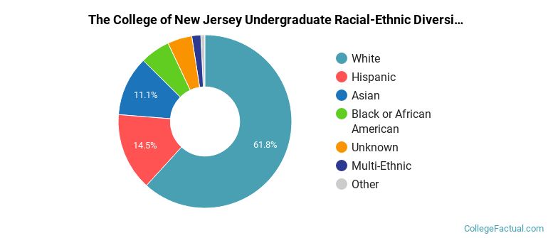 The College of New Jersey Diversity: Racial Demographics & Other Stats