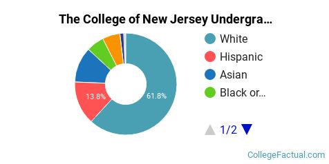 The College of New Jersey Diversity: Racial Demographics & Other Stats