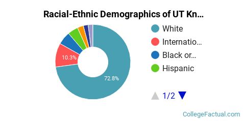 The University of Tennessee - Knoxville Diversity: Racial Demographics ...