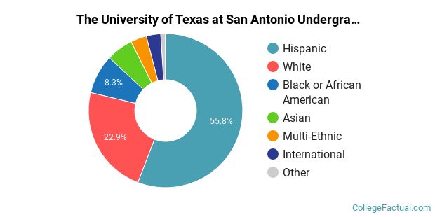 The University of Texas at San Antonio Diversity: Racial Demographics ...