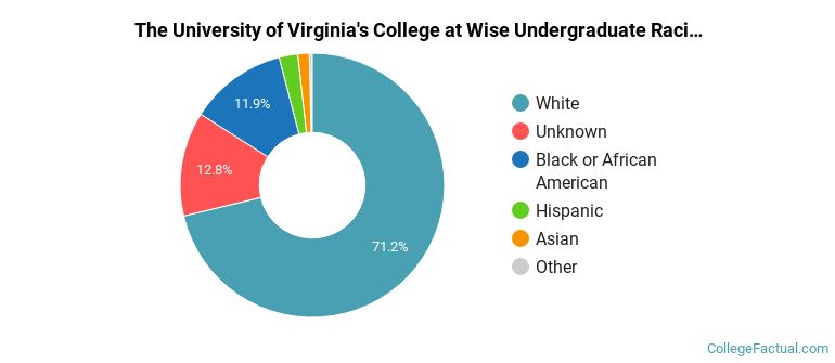 The University of Virginia's College at Wise Diversity: Racial Demographics & Other Stats