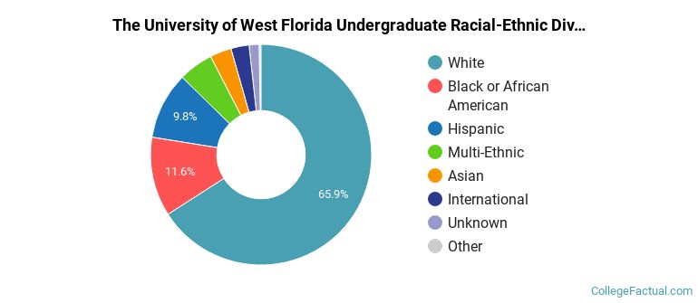 The University of West Florida Diversity: Racial Demographics & Other Stats