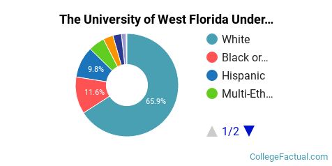 The University of West Florida Diversity: Racial Demographics & Other Stats