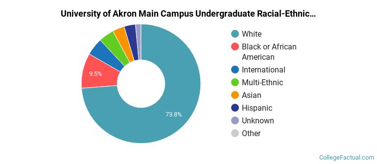 University of Akron Main Campus Diversity: Racial Demographics & Other ...