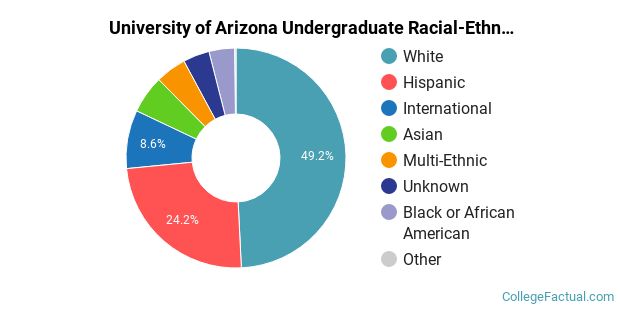 University of Arizona Diversity: Racial Demographics & Other Stats