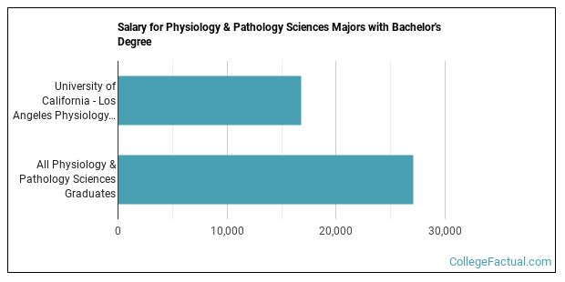 The Physiology Major at University of California - Los Angeles