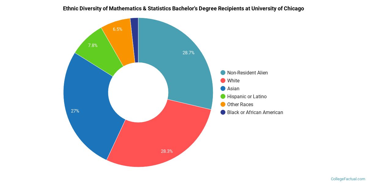 The Mathematics & Statistics Major at University of Chicago