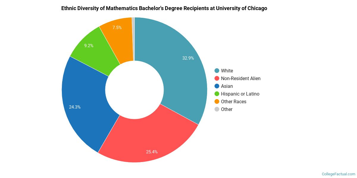 The Math Major at University of Chicago