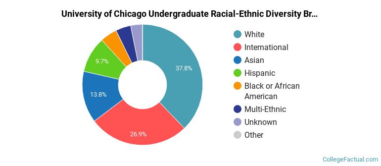 University of Chicago Diversity: Racial Demographics & Other Stats
