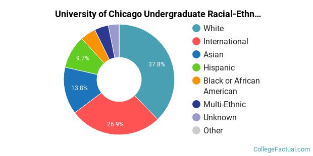 University of Chicago Diversity: Racial Demographics & Other Stats