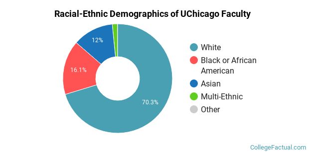 University of Chicago Diversity: Racial Demographics & Other Stats