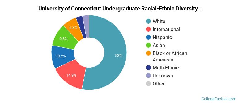 University of Connecticut Diversity: Racial Demographics & Other Stats
