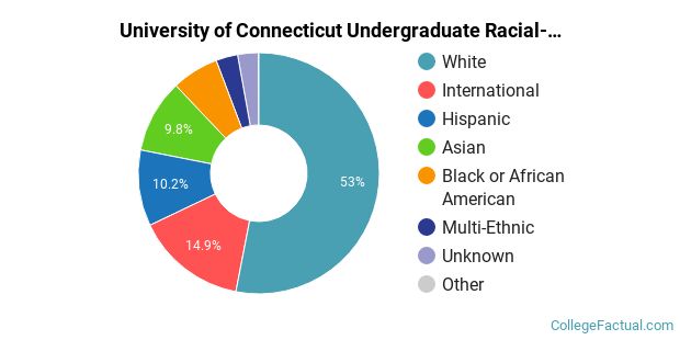 University of Connecticut Diversity: Racial Demographics & Other Stats