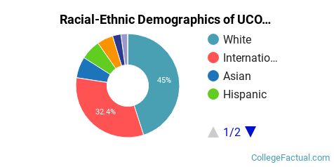 University of Connecticut Diversity: Racial Demographics & Other Stats