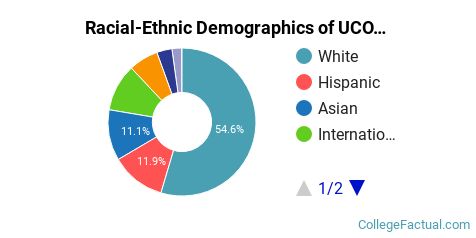 University of Connecticut Diversity: Racial Demographics & Other Stats