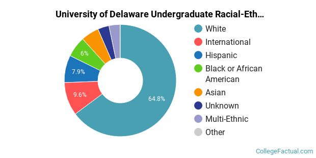 University of Delaware Diversity: Racial Demographics & Other Stats