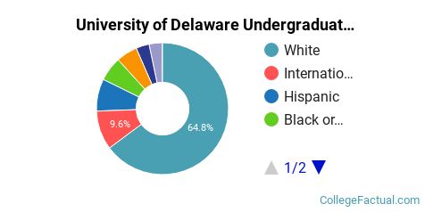 University of Delaware Diversity: Racial Demographics & Other Stats