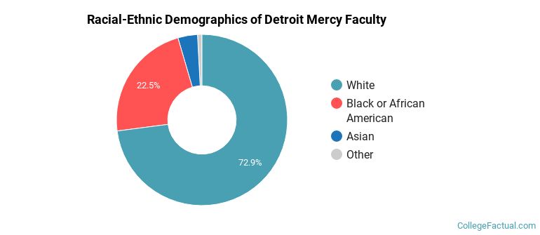 University of Detroit Mercy Diversity: Racial Demographics & Other Stats