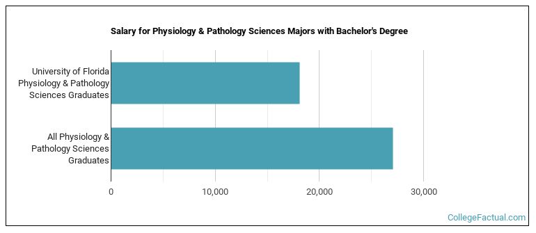 The Physiology Major at University of Florida