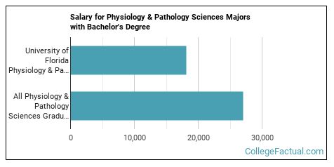 The Physiology Major at University of Florida