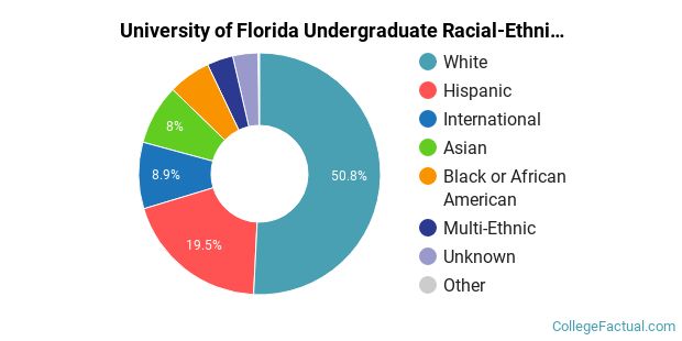 University of Florida Diversity: Racial Demographics & Other Stats