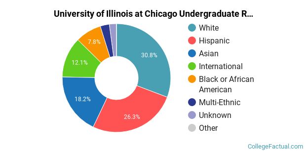 University of Illinois at Chicago Diversity: Racial Demographics ...