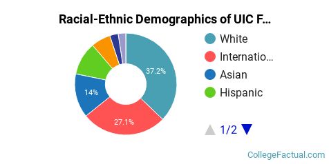 University of Illinois at Chicago Diversity: Racial Demographics ...
