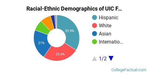 University of Illinois at Chicago Diversity: Racial Demographics ...