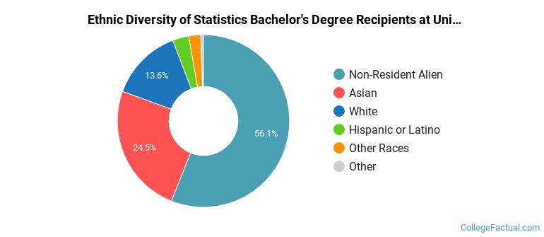 The Stats Major at University of Illinois at Urbana-Champaign
