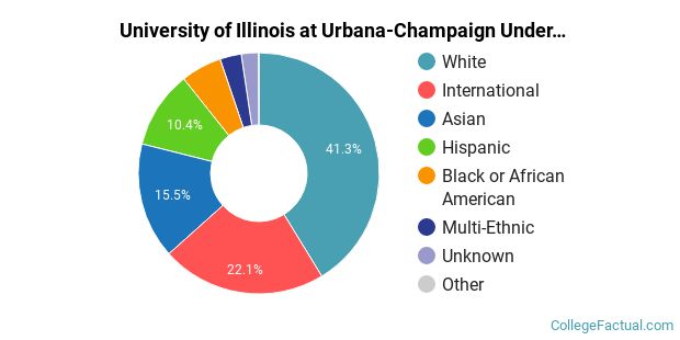 University of Illinois at Urbana-Champaign Diversity: Racial ...