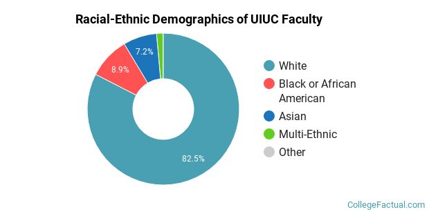 University of Illinois at Urbana-Champaign Diversity: Racial ...