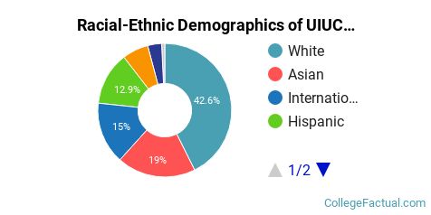 University of Illinois at Urbana-Champaign Diversity: Racial ...
